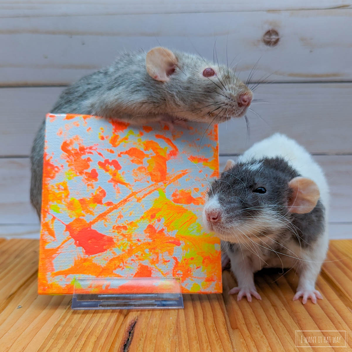 Paintings by Alice & Finch – I Want It Rat Way