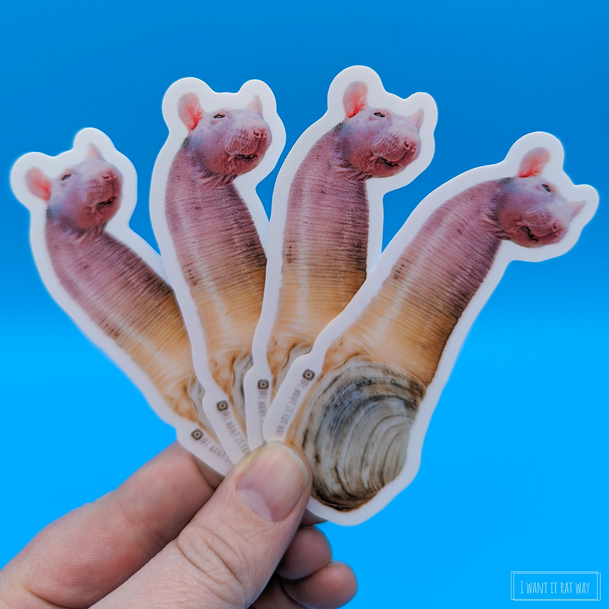 Geoduck geoduck – I Want It Rat Way
